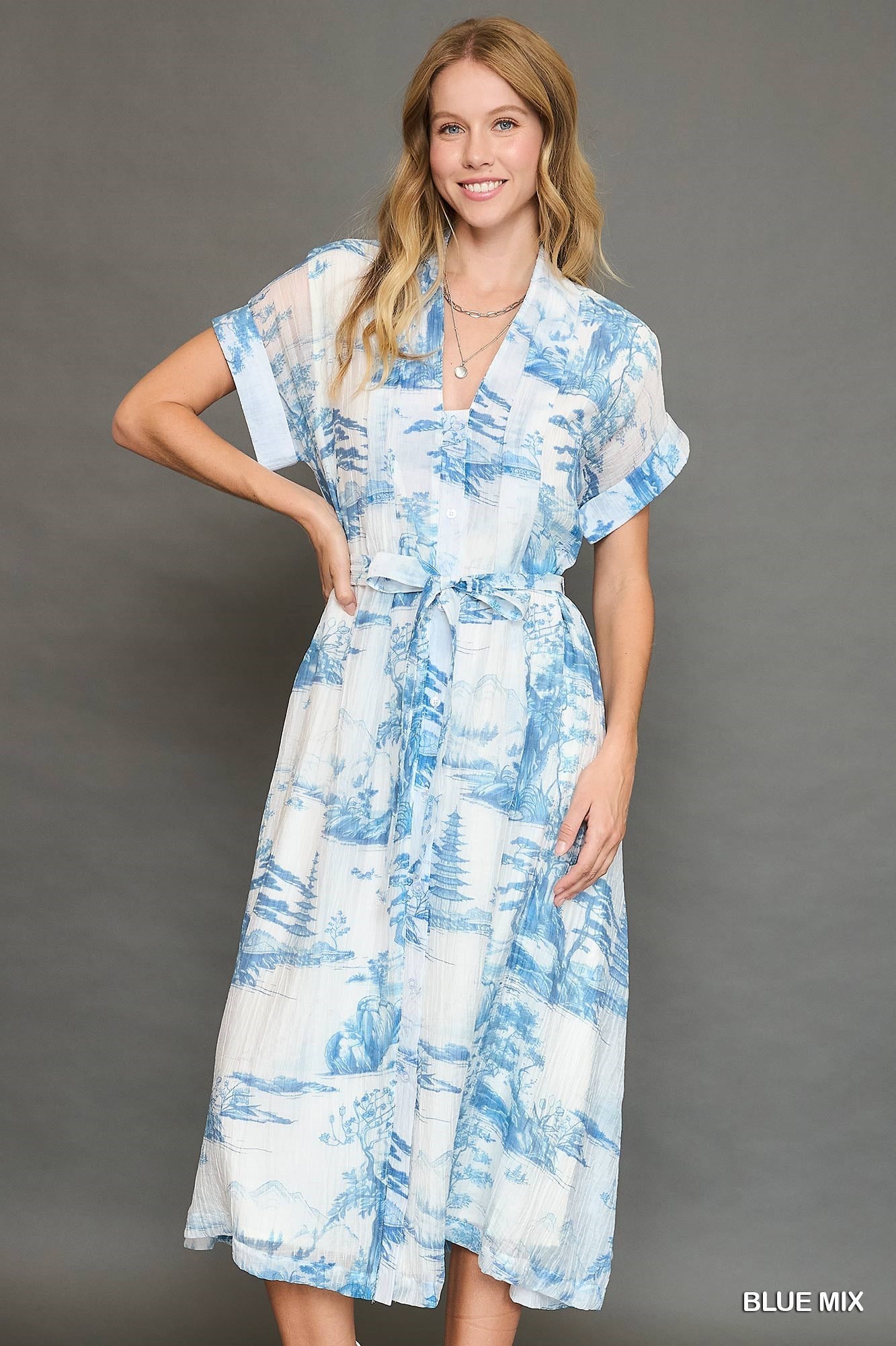Dress - Toile Print Midi - Blue | Findlay Rowe Designs